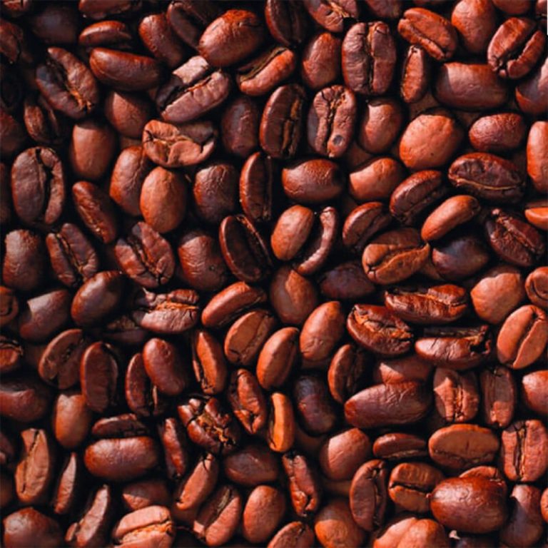 Café CEREZA, ALMENDRA Y CHOCOLATE Cult Gourmet | Mandrágora Té y Café